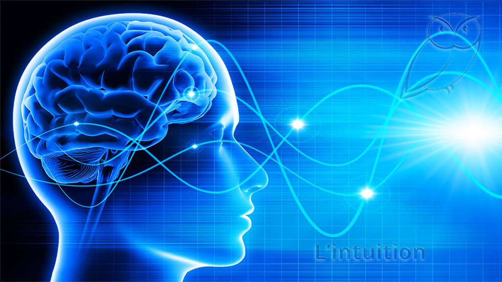 L'intuition - Martial Grosfort